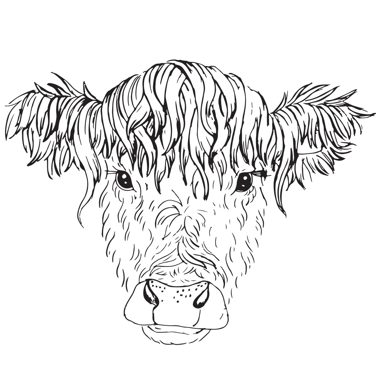 WHOLE BEEF / HALF BEEF / QUARTER BEEF DEPOSIT – Wildom